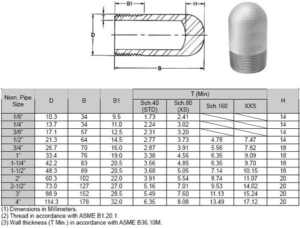 Carbon Steel Bull plug - Fortis Forge